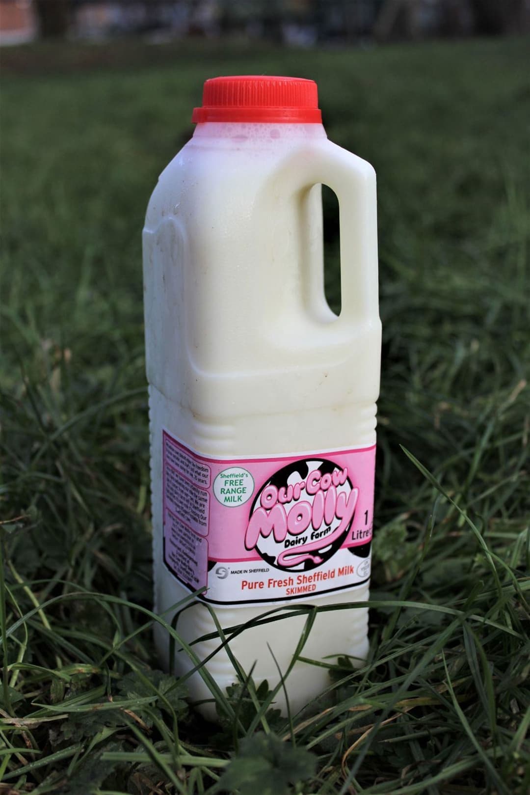 Our Cow Molly Skimmed Milk, 1L | Regather - Sheffield